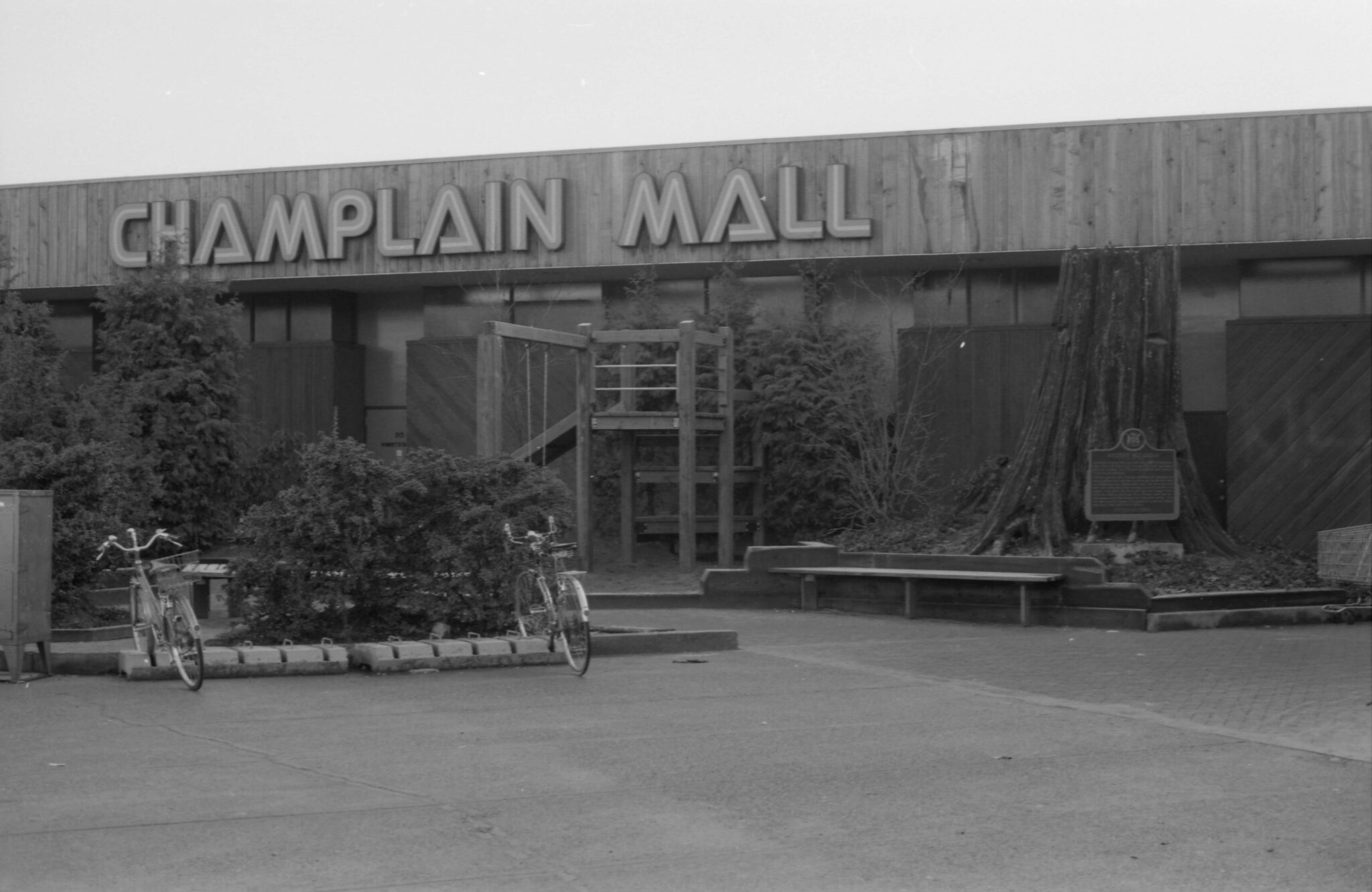 History of Champlain Heights – free the fern